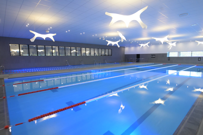 Natation | Stadium